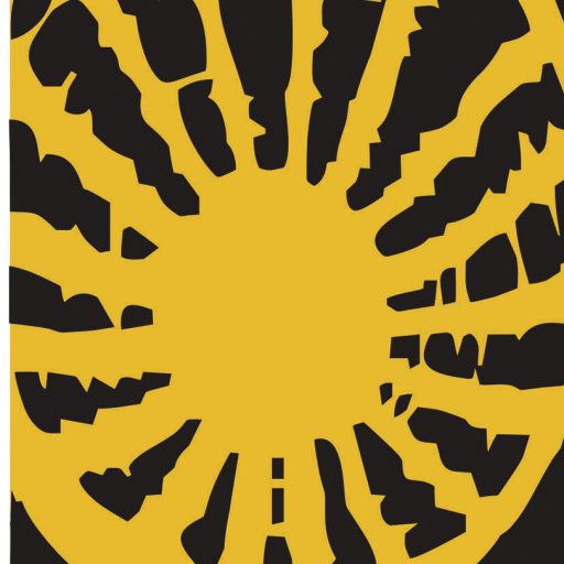 Impact Stories – National Association of Street Vendors of India – NASVI